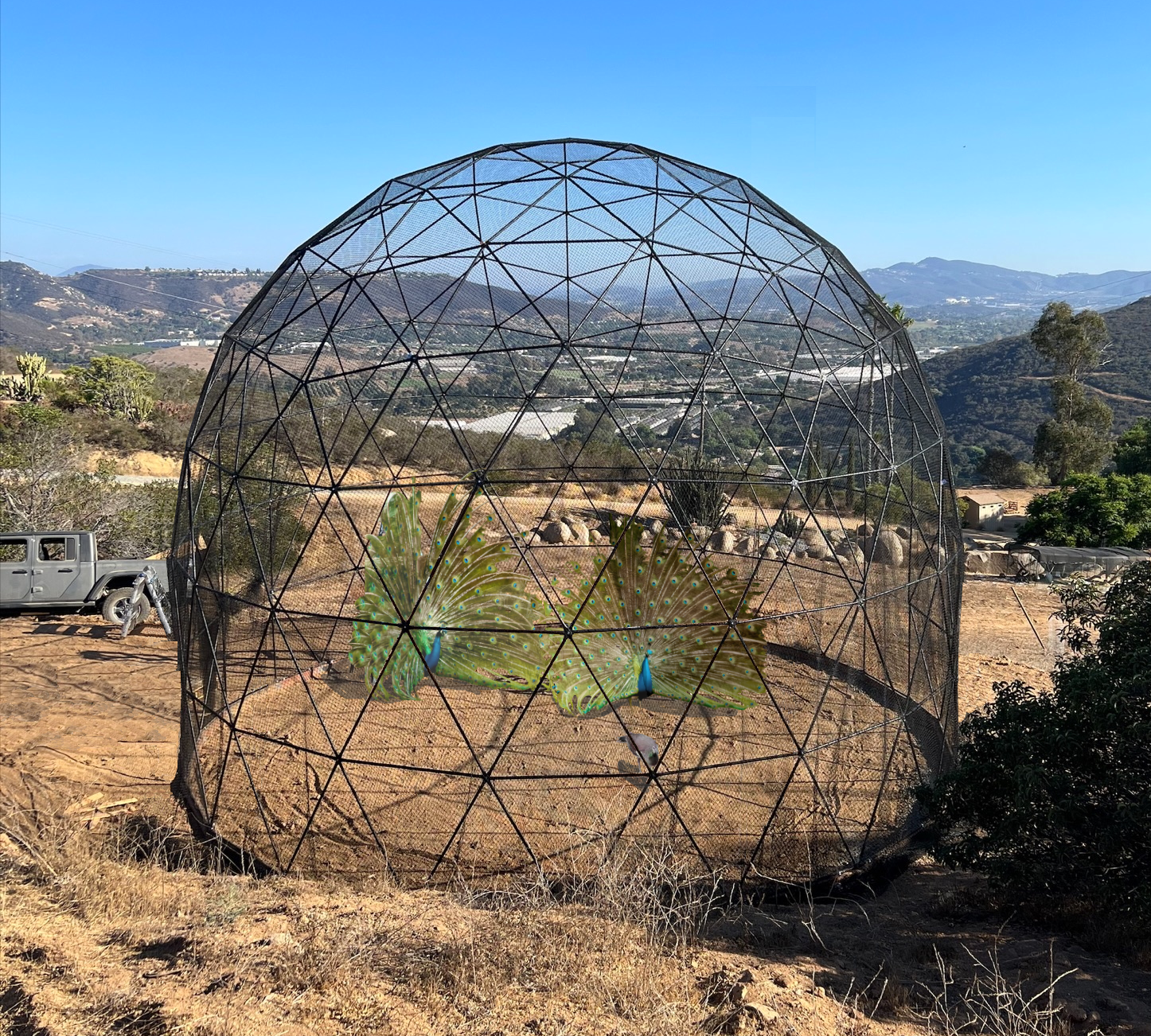 Peacock Aviary Kits – Sunrise Domes