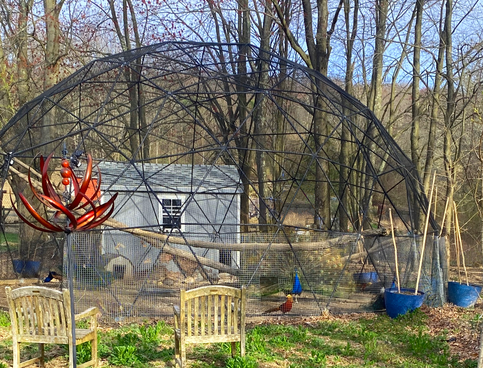 28 Ft Peacock Aviary Kits – Sunrise Domes